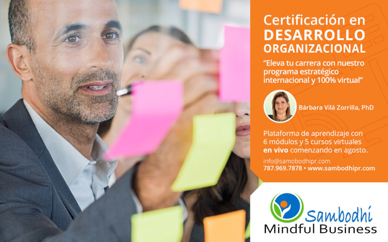 Programa: Adiestradores de Alto Impacto - Sambodhi